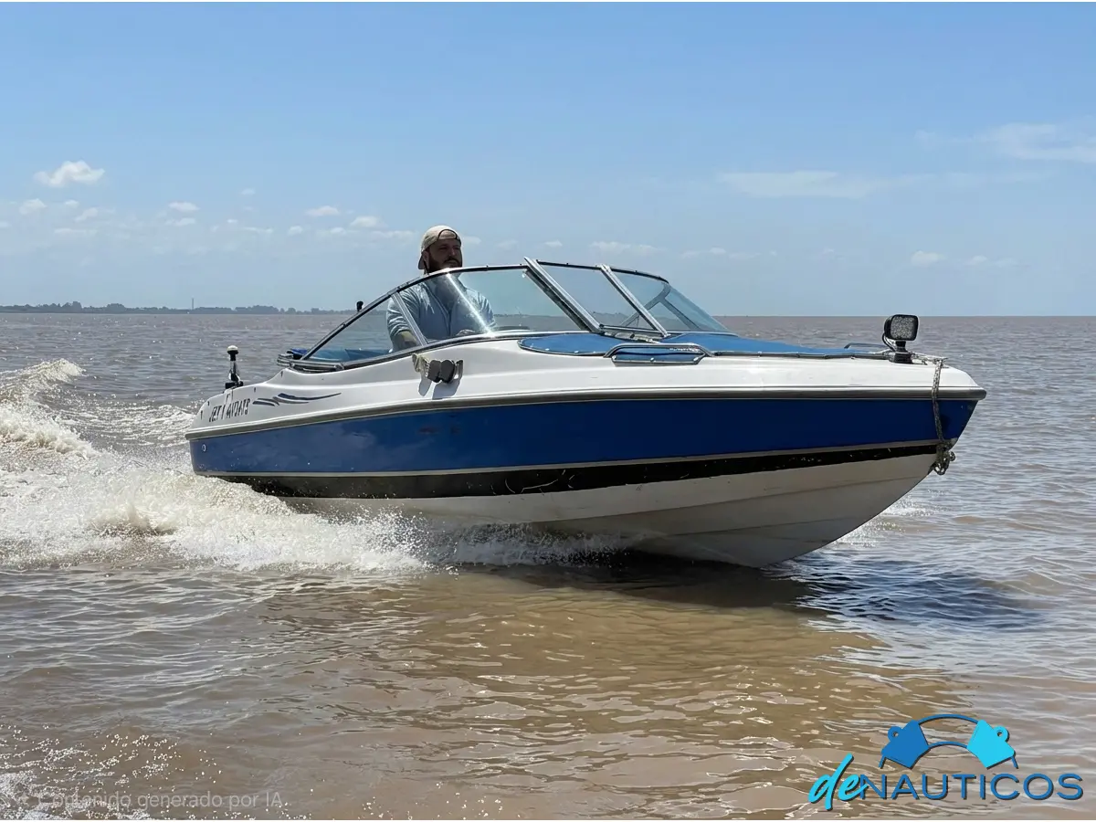 DeNauticos.ar | venta de Embarcaciones | Lanchas Open | Lancha Prinz ...